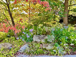 A Visitor’s Guide to the United States Botanic Garden – Garden Travel Guide