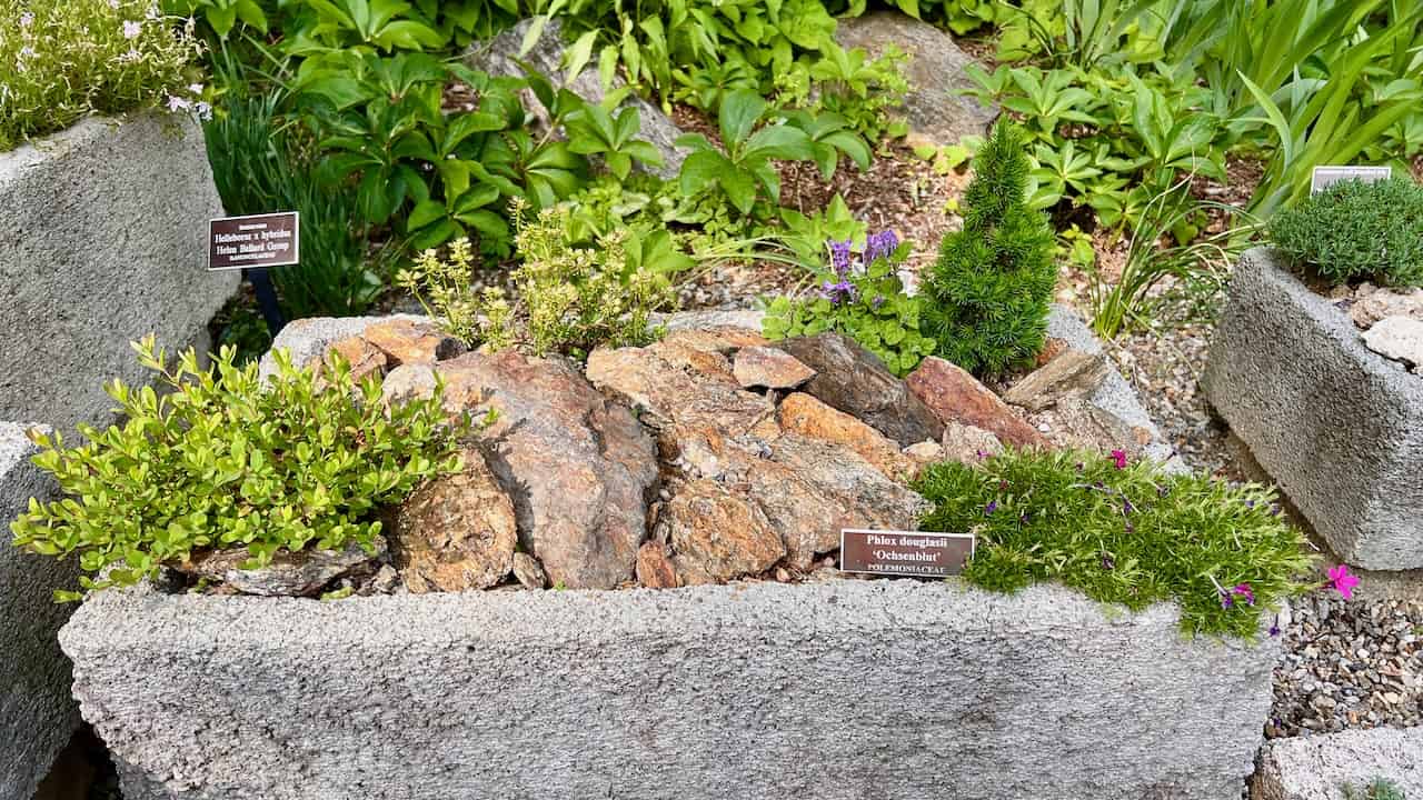 Captivating Elegance: The New York Botanical Garden’s Natural Wonders ...